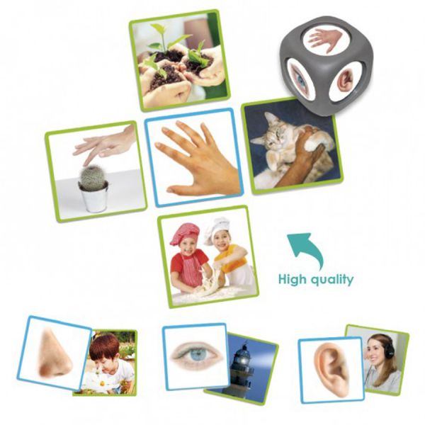 Cele 5 simțuri de bază ale omului