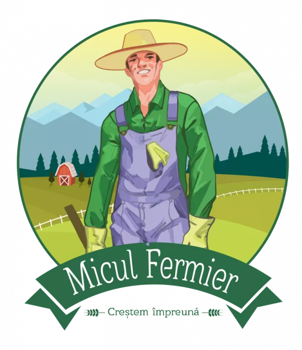 Magazin de Echipamente, Scule si Unelte | Bricolaj Market