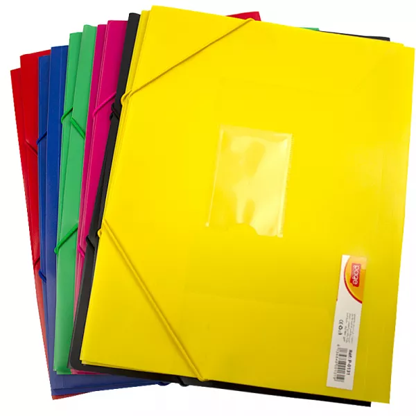 Mape Mapa plastic rigid A4 (318*237mm) cu elastic si buzuna...