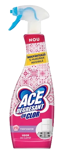 Casa Curatenie si Menaj