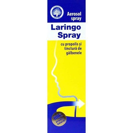 Raceala si gripa LARINGO SPRAY O10759467_001X003550 SIA SILVANOLS ...