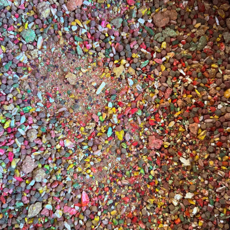 Senzor Planet – Nadă Peste Tot | Produse Noi 2025