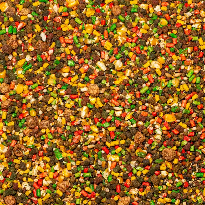 Nade si Momeli pentru Pescuitul la Crap - Senzor Planet